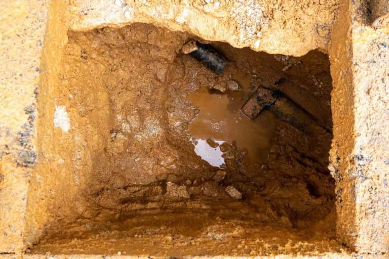 Why Do Sewer Lines Collapse?